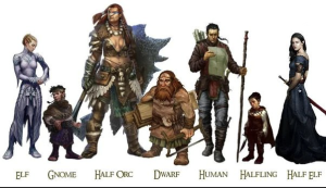 The Best D&D Races (or Species) for Beginners | Short Rest Studios
